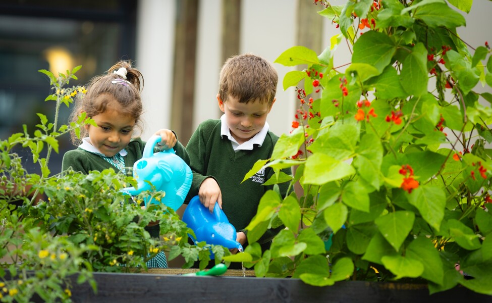 Welcome to Telscombe Cliffs